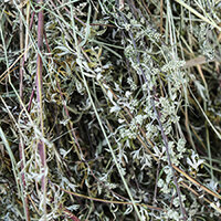 Heu als Beschäftigung oder Einstreu?